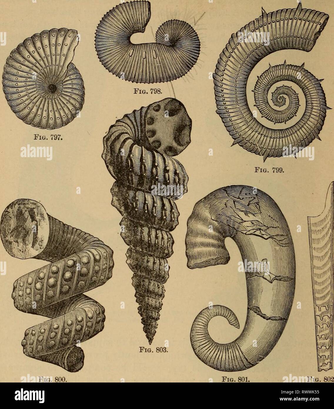 Elements of geology a Stock Photo - Alamy