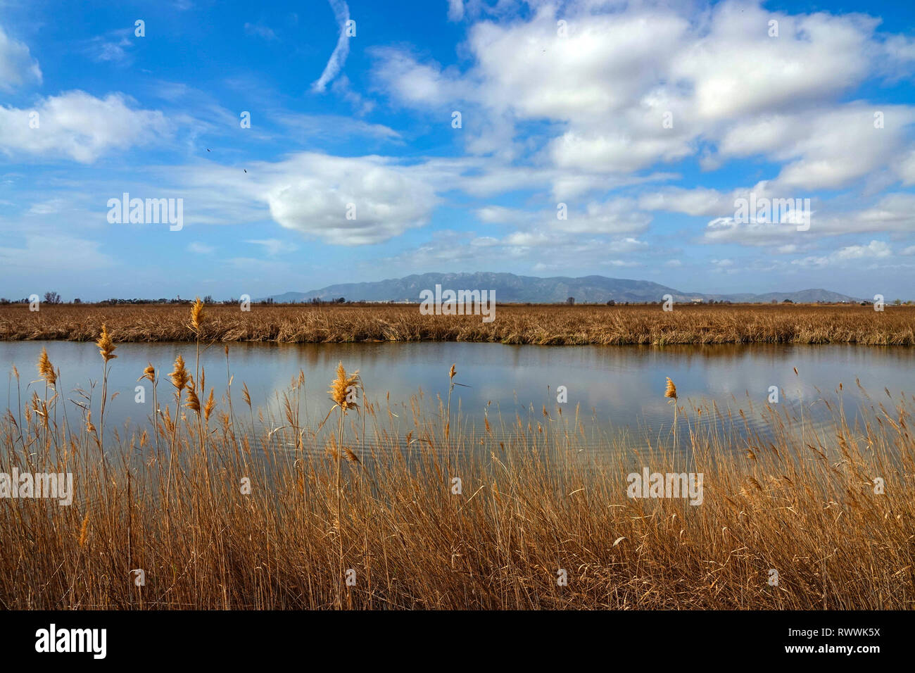 Ebro river lagoon hi-res stock photography and images - Alamy