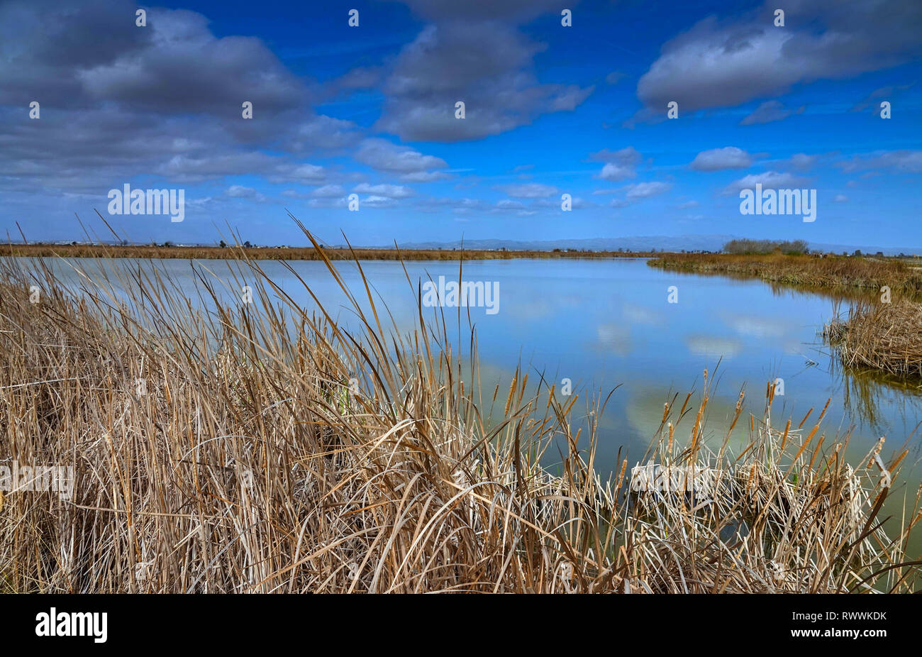 Wide open spaces hi-res stock photography and images - Alamy