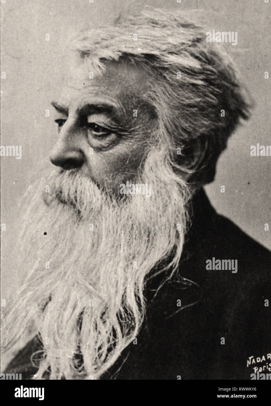 Photographic portrait of Meissonier, Ernest Stock Photo - Alamy