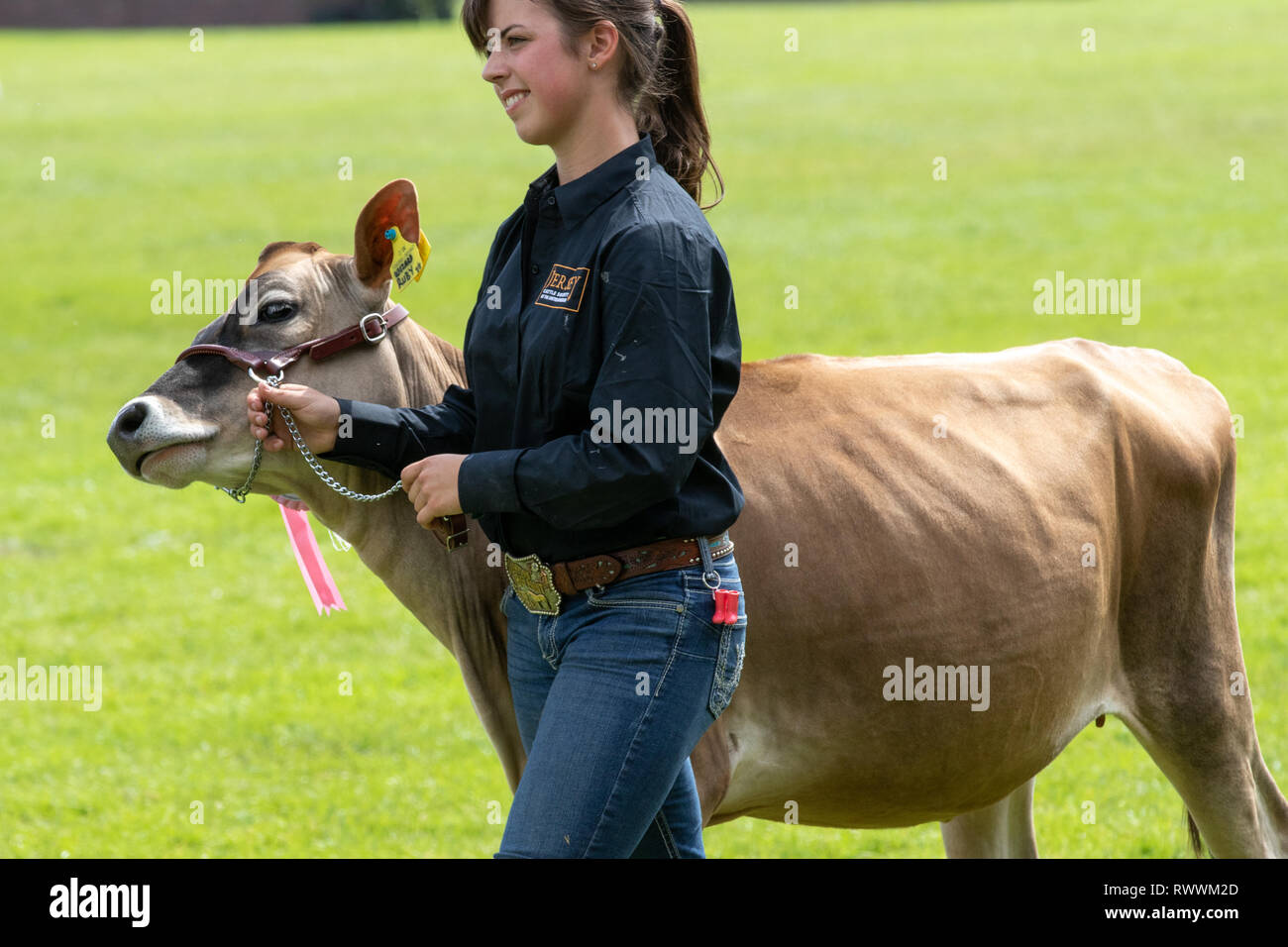 Agriculture farming great show hi-res stock photography and images - Alamy