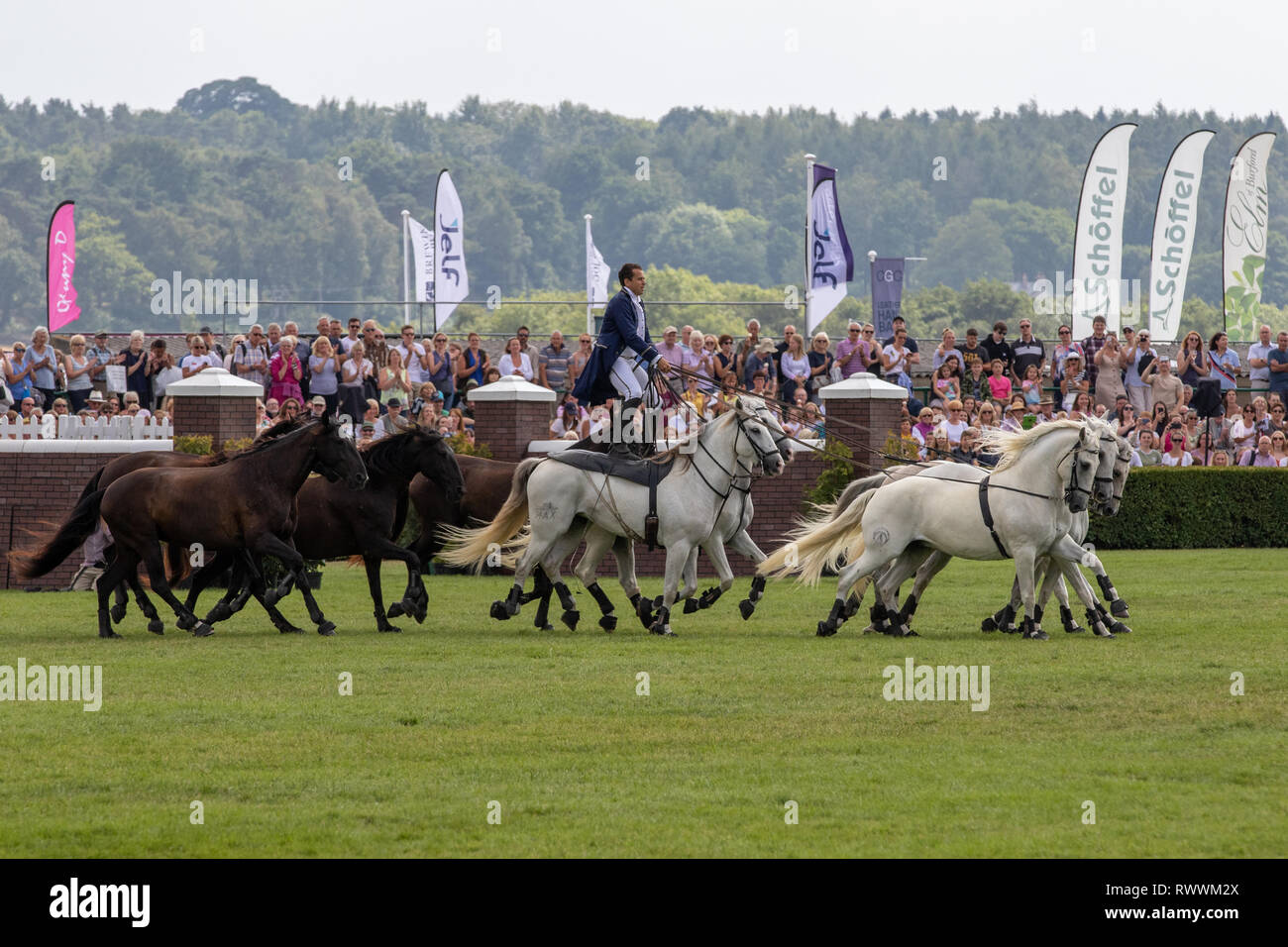 Harrogate, North Yorkshire, UK - July 12th, 2018: French horse trainer ...