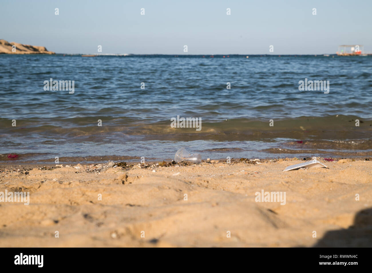 Plastic trashes swimming in the Red sea Stock Photo - Alamy