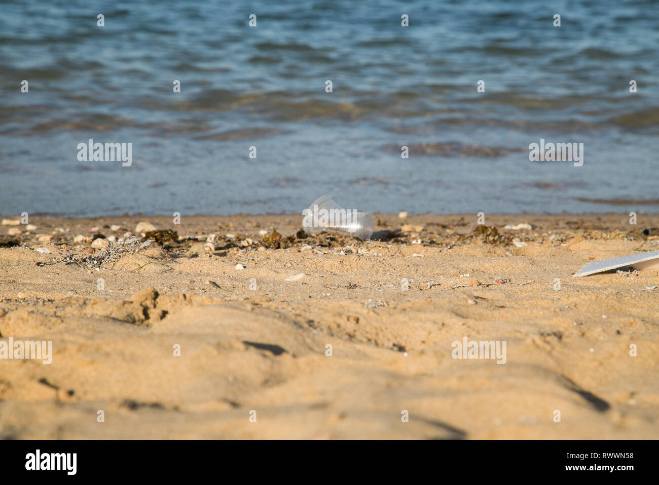 Swimming plastic garbage ocean hi-res stock photography and images - Alamy
