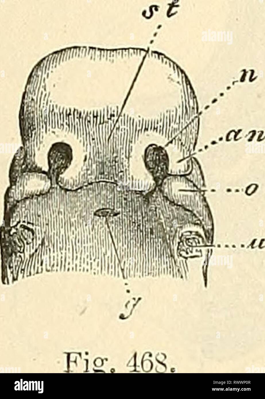 Embryologie, ou, Traité complet du Stock Photo - Alamy