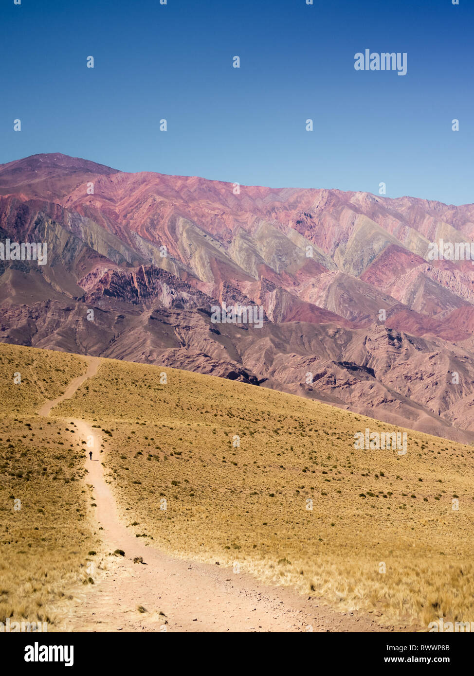 Mountain of the 14 color in Humahuaca, Northwest of Argentina. A man ...