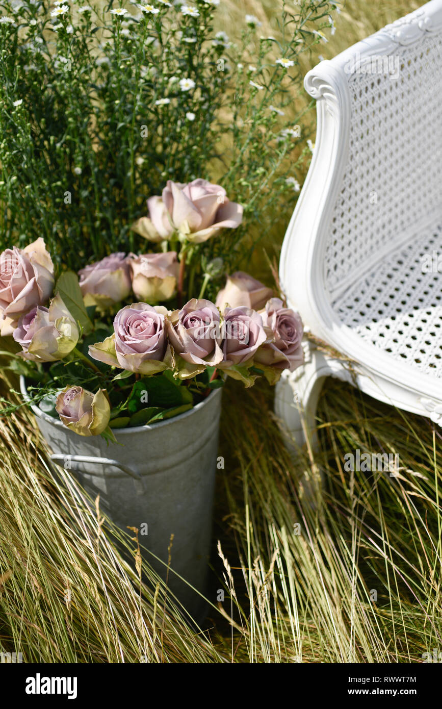 An antique French cane chair sits by itself in a field of Daisies and ...