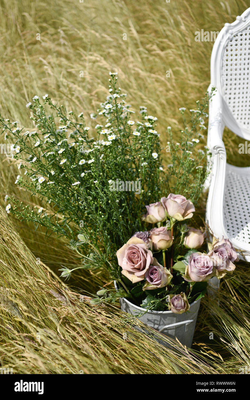 An antique French cane chair sits by itself in a field of Daisies and ...