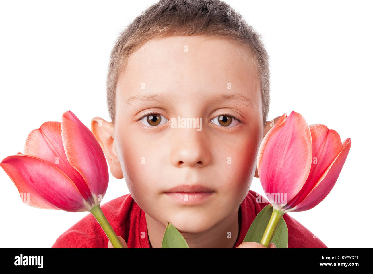 Boy gazing hi-res stock photography and images - Alamy
