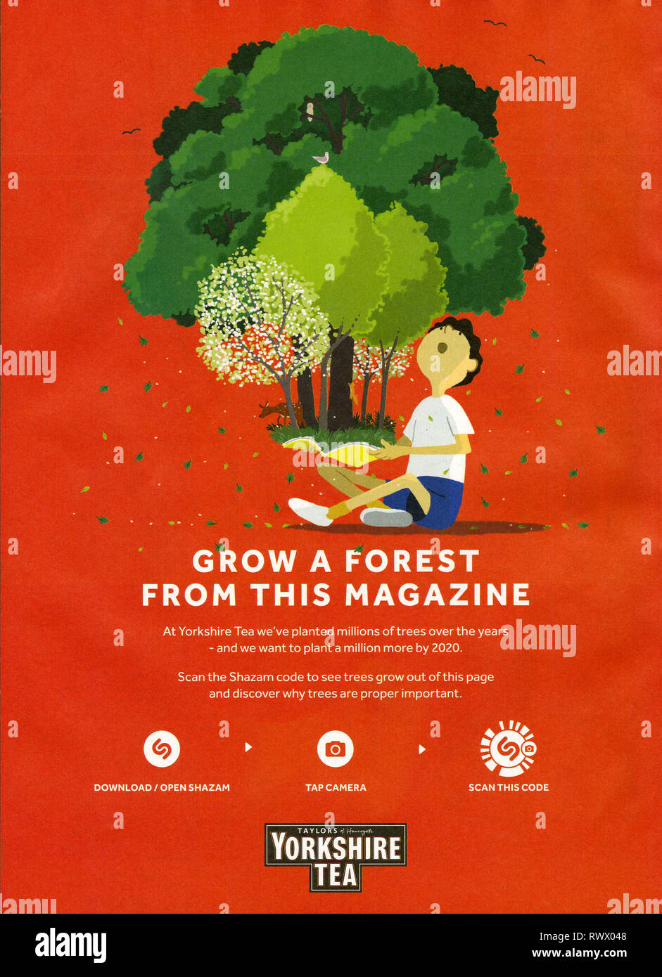 2010s UK Yorkshire Tea Magazine Advert Stock Photo - Alamy