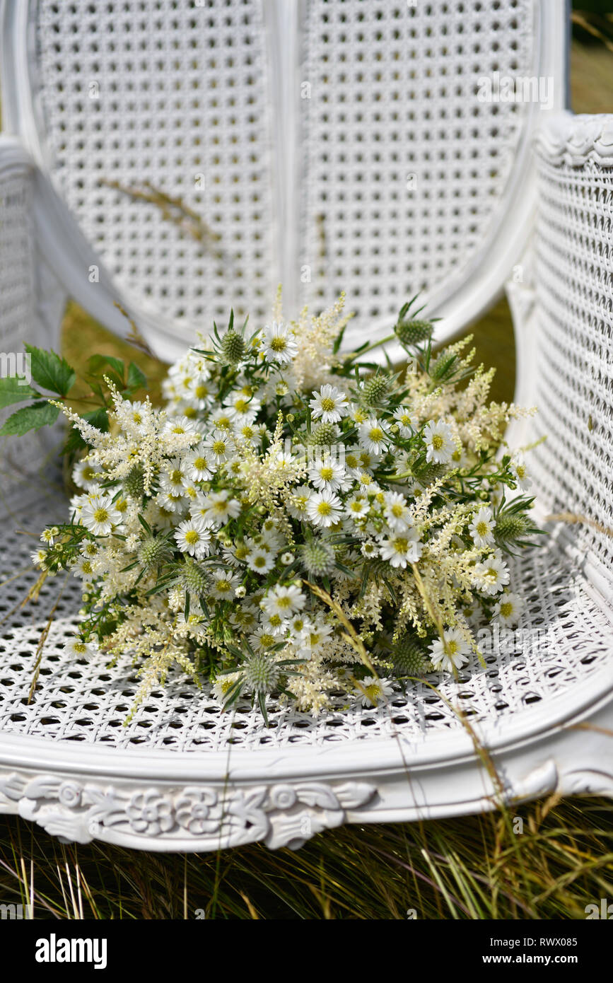 An antique French cane chair sits by itself in a field of Daisies and ...