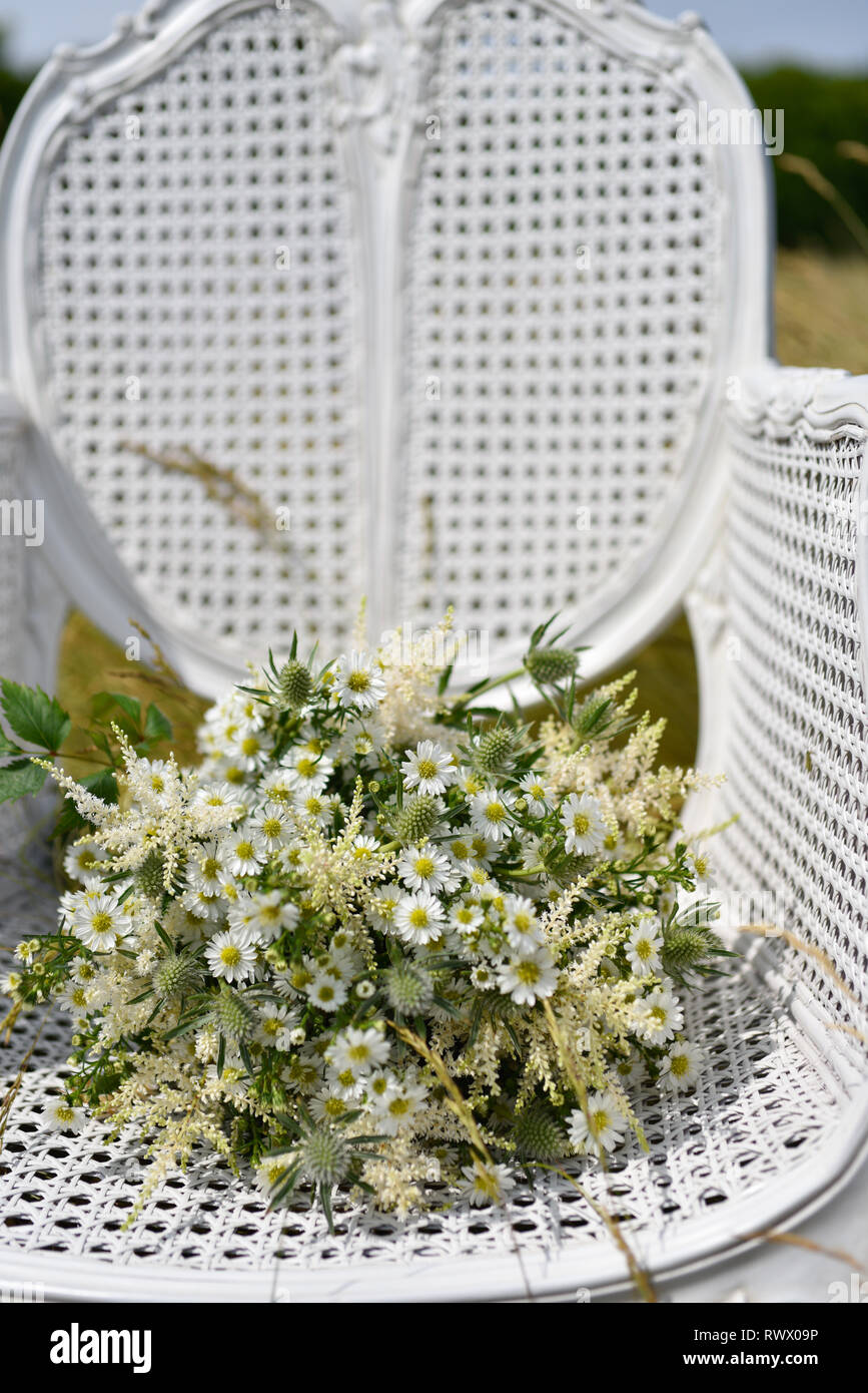 An antique French cane chair sits by itself in a field of Daisies and ...