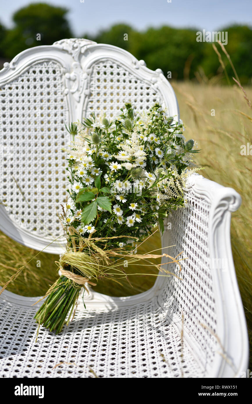 An antique French cane chair sits by itself in a field of Daisies and ...