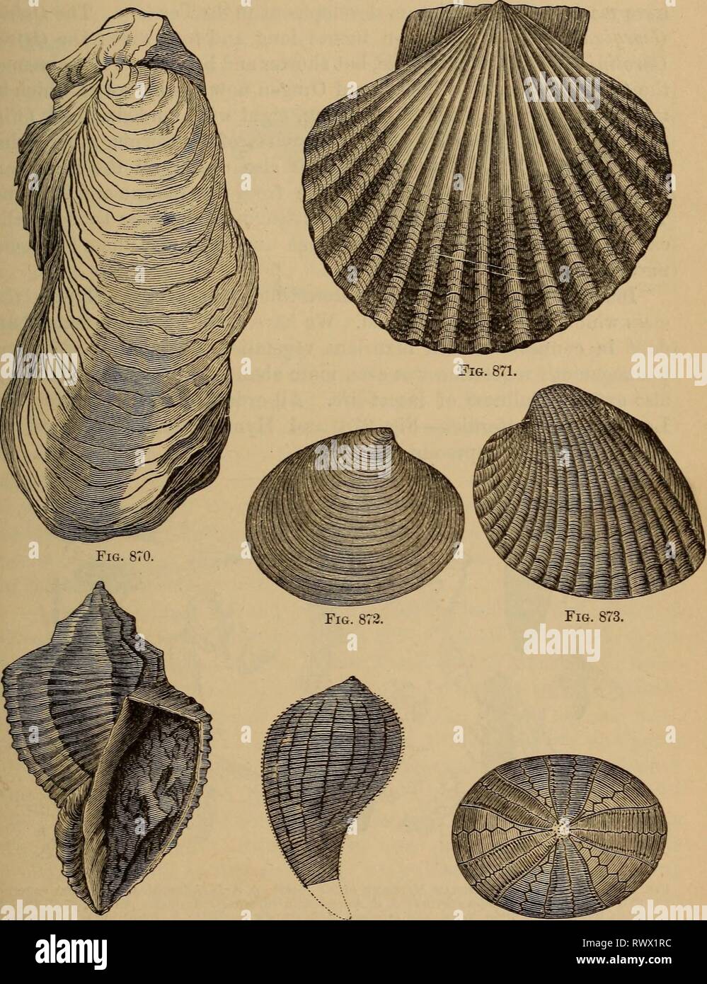Elements of geology a Stock Photo - Alamy