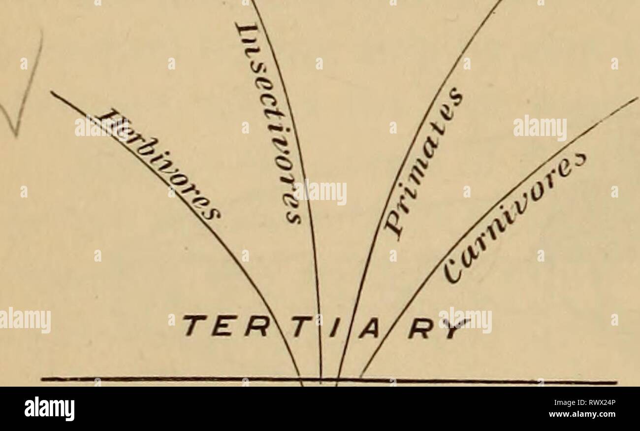Elements of geology a Stock Photo - Alamy