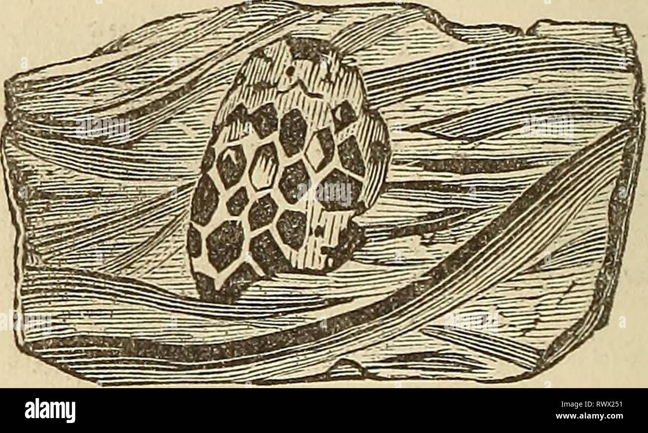 Elements of geology, or, The Elements of geology, or, The ancient ...