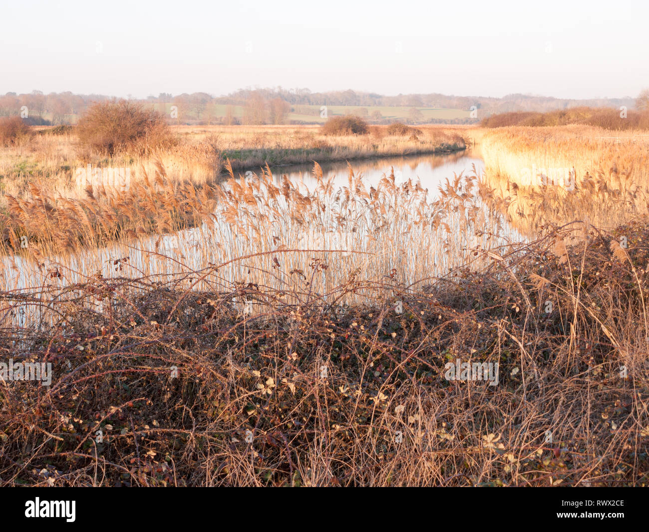Beautiful countryside Dedham water scene outside nature landscape space ...