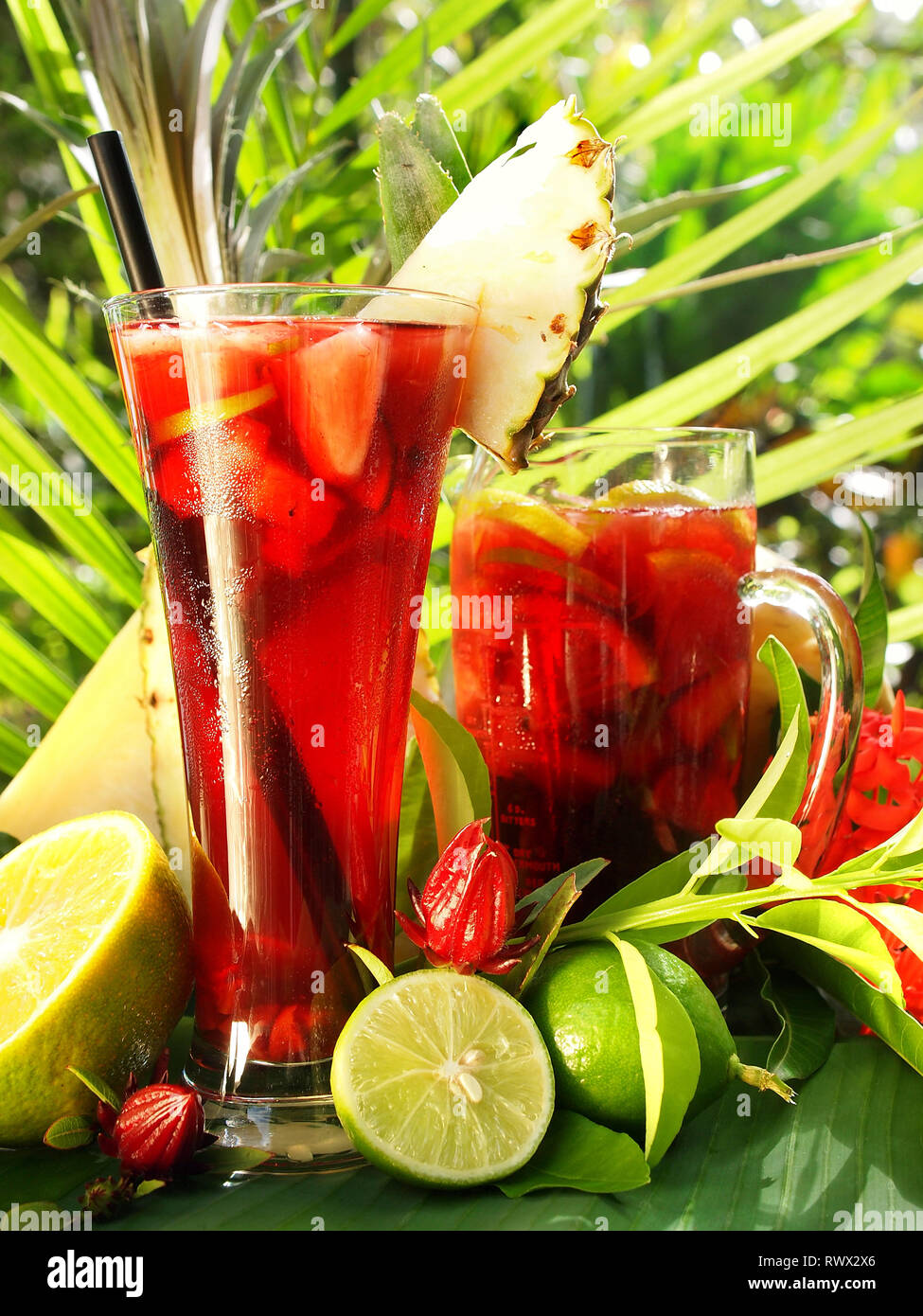 Tropical Sangria Cocktail on sunny Background Stock Photo - Alamy