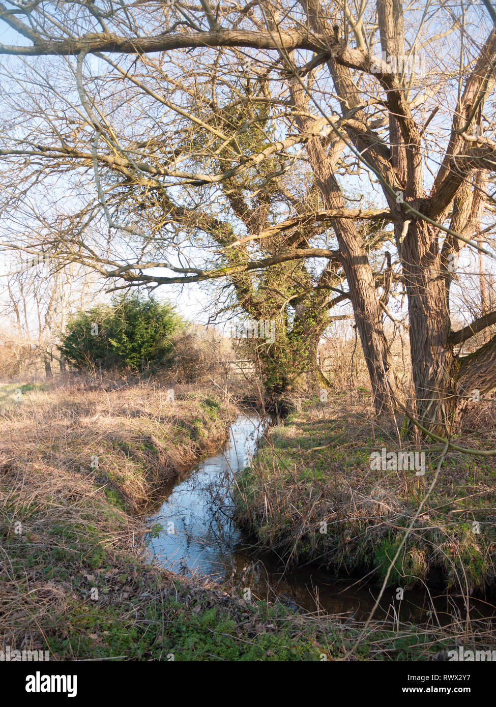 Beautiful countryside Dedham water scene outside nature landscape space ...