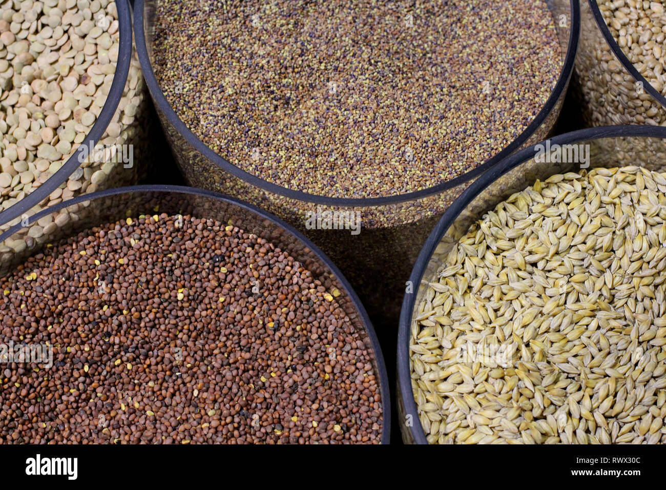 different types of food grain cereals in glass transparent containers ...