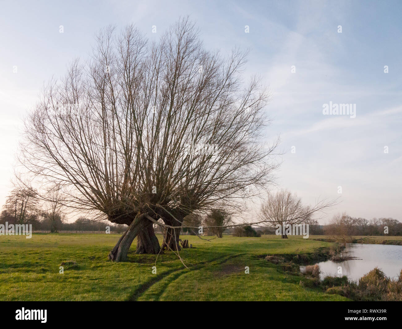 Beautiful countryside Dedham water scene outside nature landscape space ...
