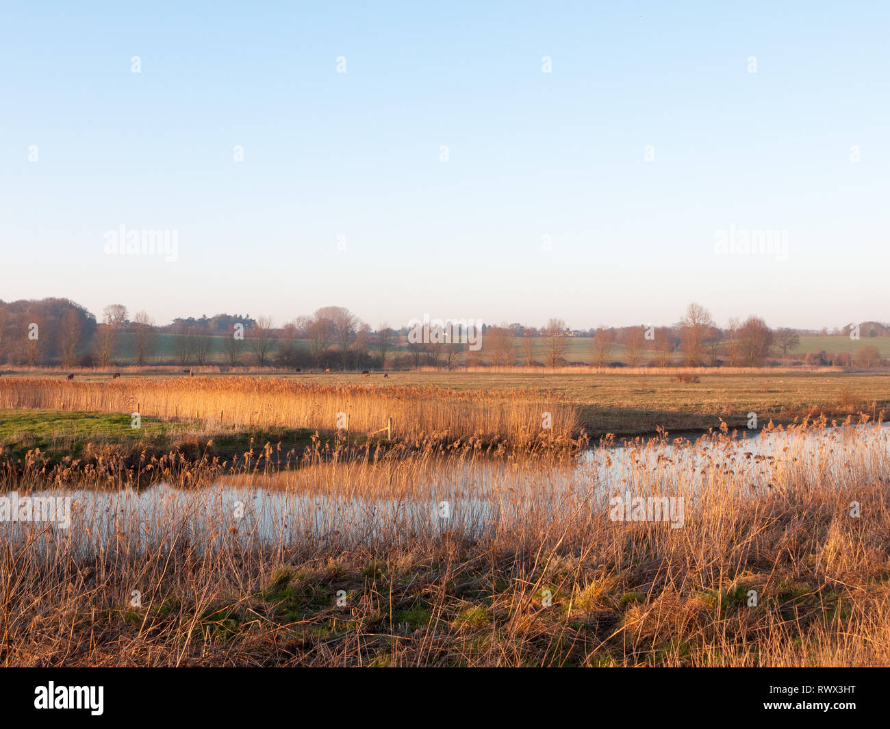 Beautiful countryside Dedham water scene outside nature landscape space ...