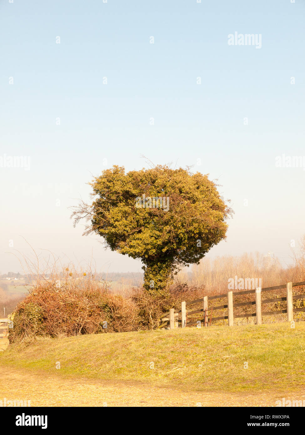 Beautiful countryside Dedham water scene outside nature landscape space ...