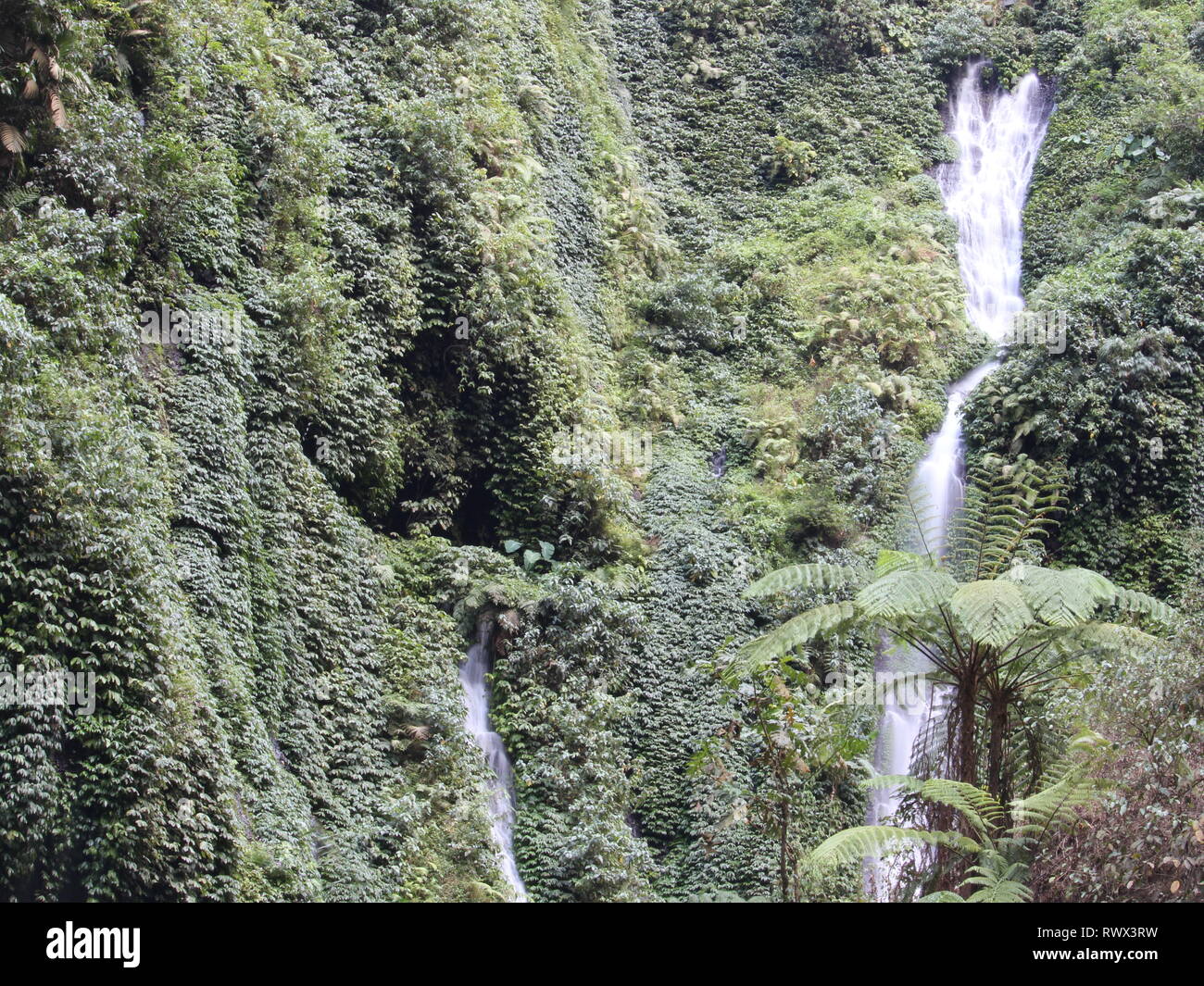 Flowing waterfalls that are still natural and beautiful in a tropical ...