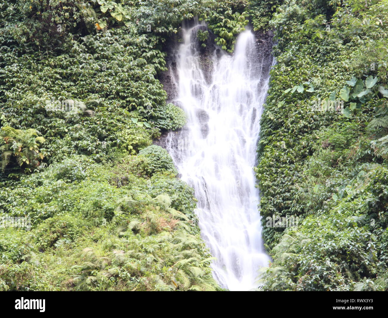 Flowing waterfalls that are still natural and beautiful in a tropical ...