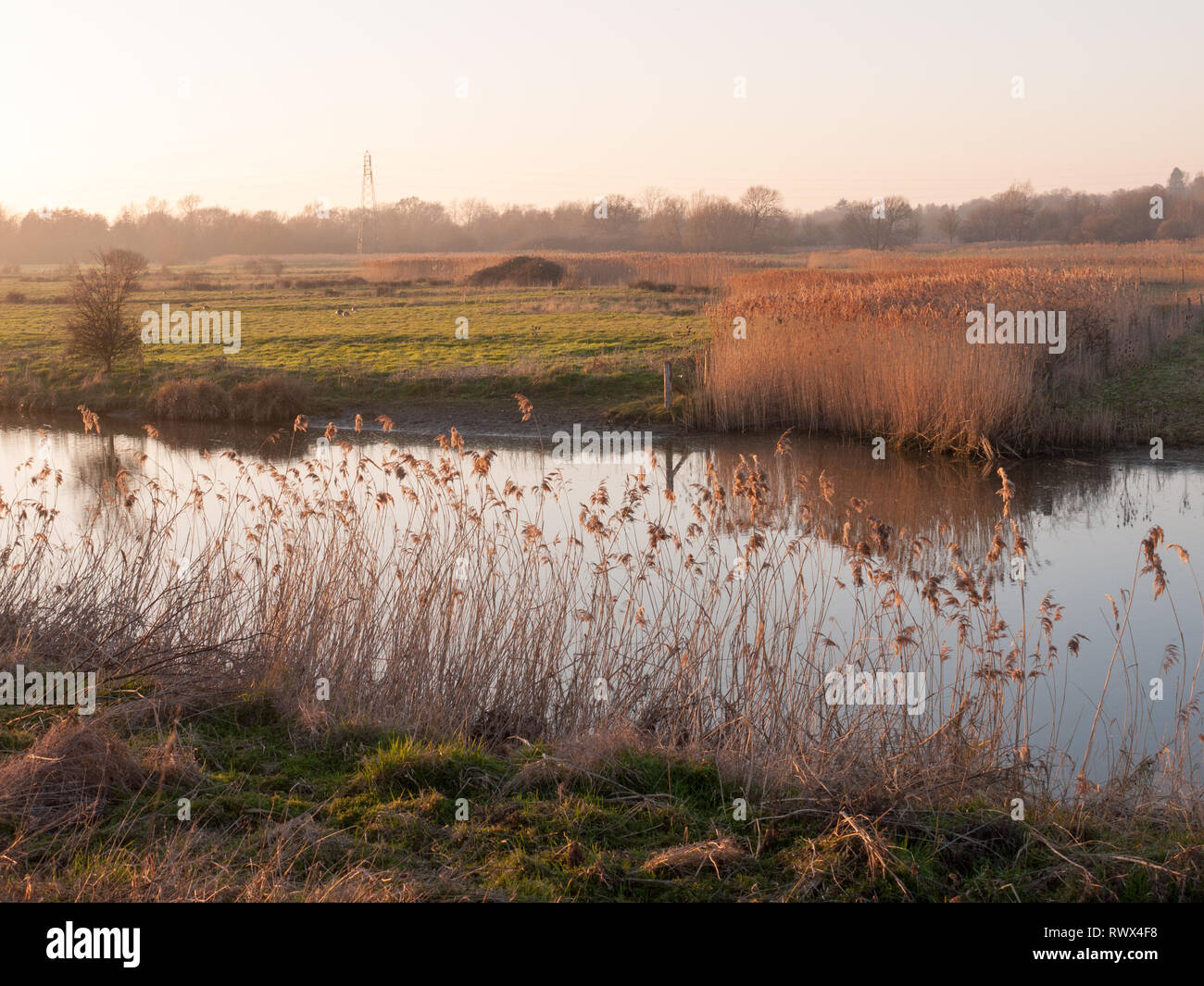 Beautiful countryside Dedham water scene outside nature landscape space ...