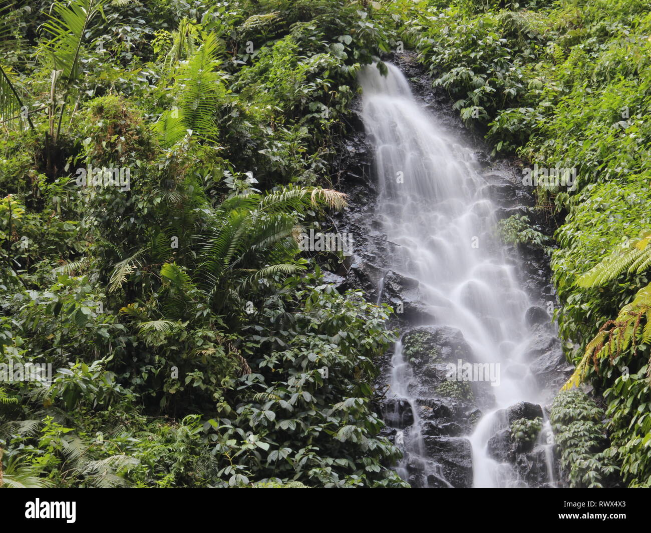 A small waterfall that flows into an unspoiled river is suitable for an ...