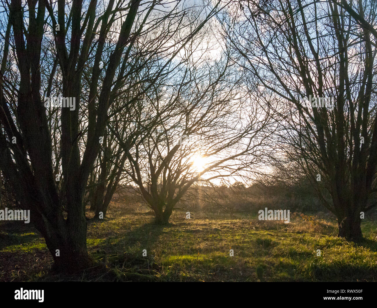 Beautiful countryside Dedham water scene outside nature landscape space ...