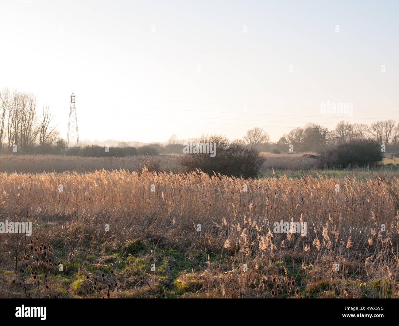 Beautiful countryside Dedham water scene outside nature landscape space ...