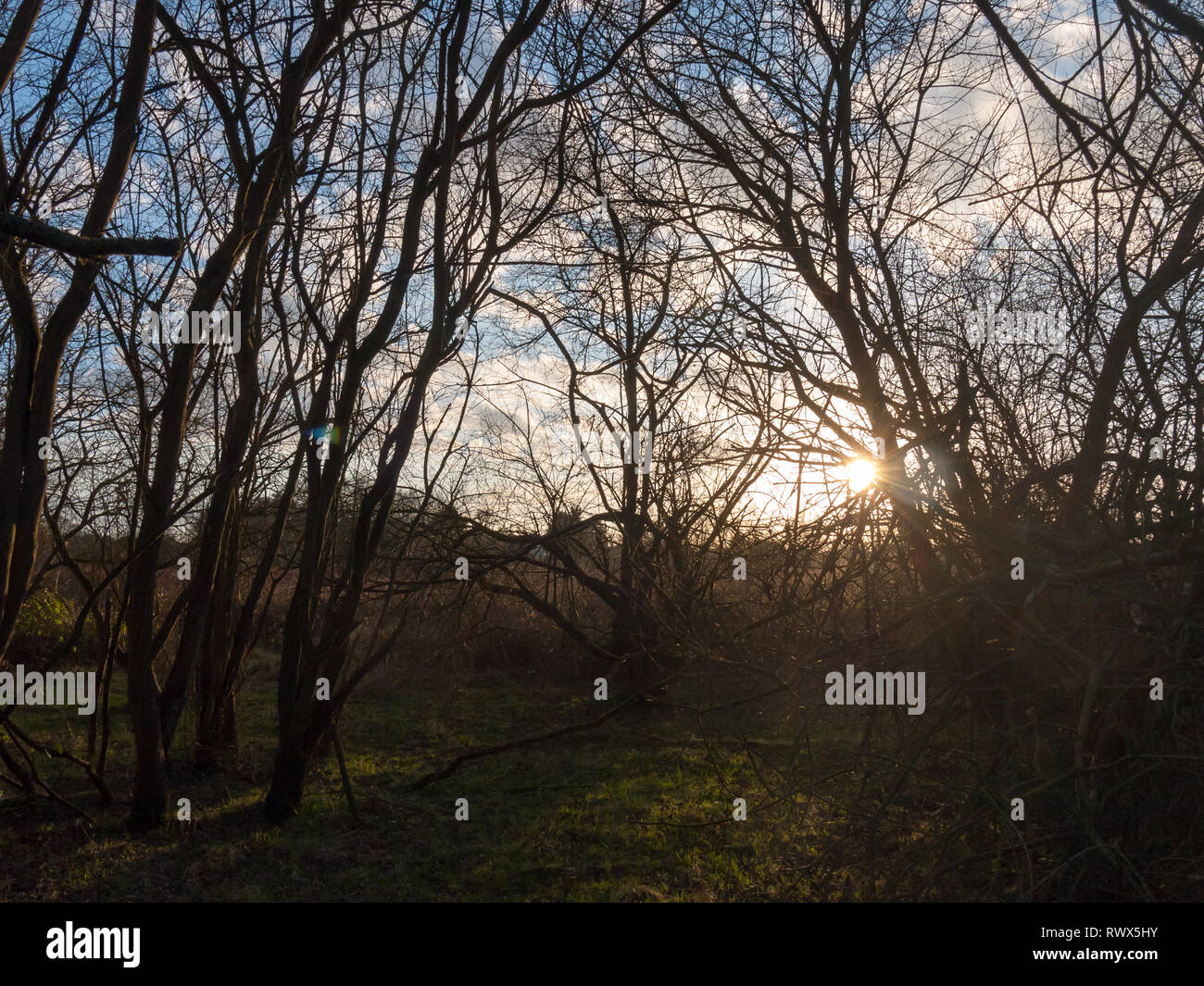 Beautiful countryside Dedham water scene outside nature landscape space ...