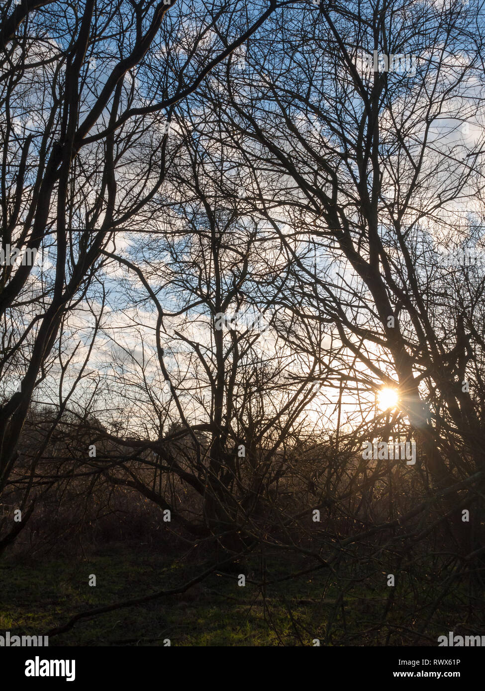 Beautiful countryside Dedham water scene outside nature landscape space ...