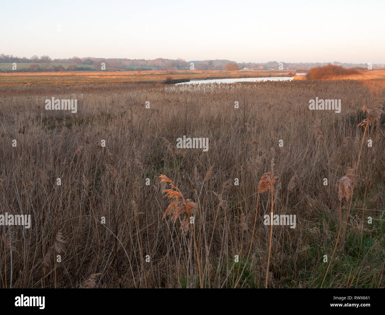 Beautiful countryside Dedham water scene outside nature landscape space ...