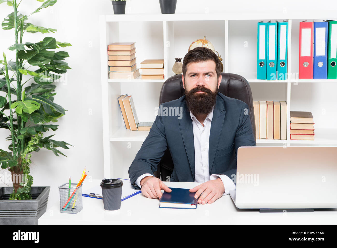 Lawyer agency. Man bearded hipster boss sit in leather armchair office ...