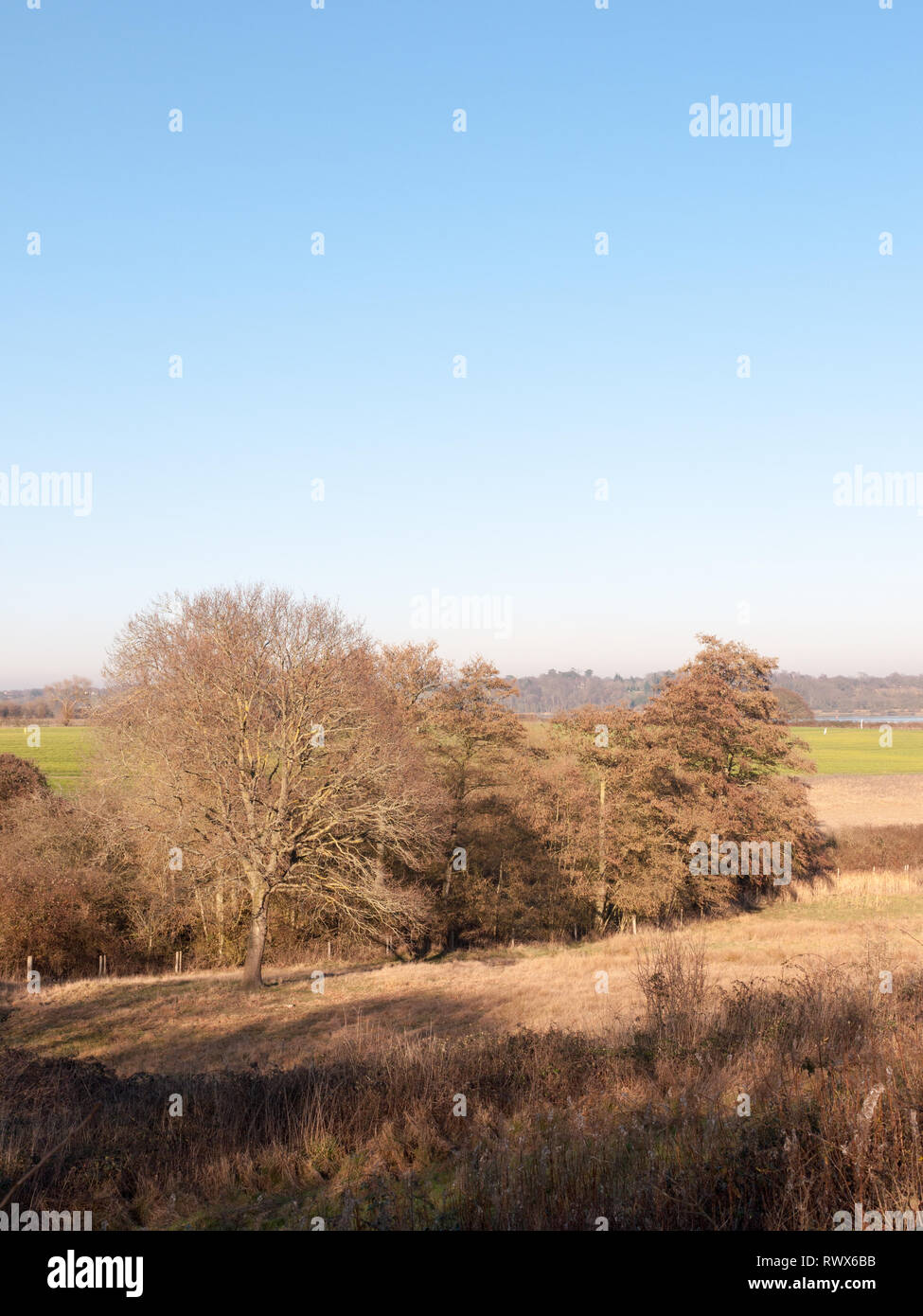 Fingringhoe wick nature reserve outside landscape background space open ...