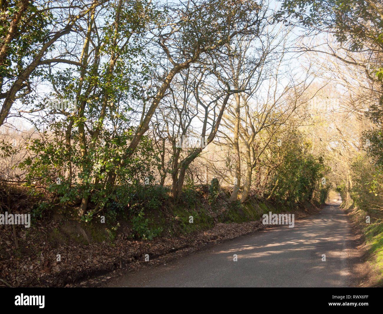 Beautiful countryside Dedham water scene outside nature landscape space ...