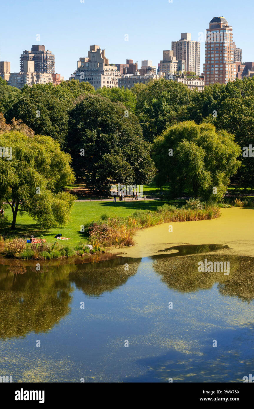 Central Park. In the vicinity of 65th Street is a grassy area called ...