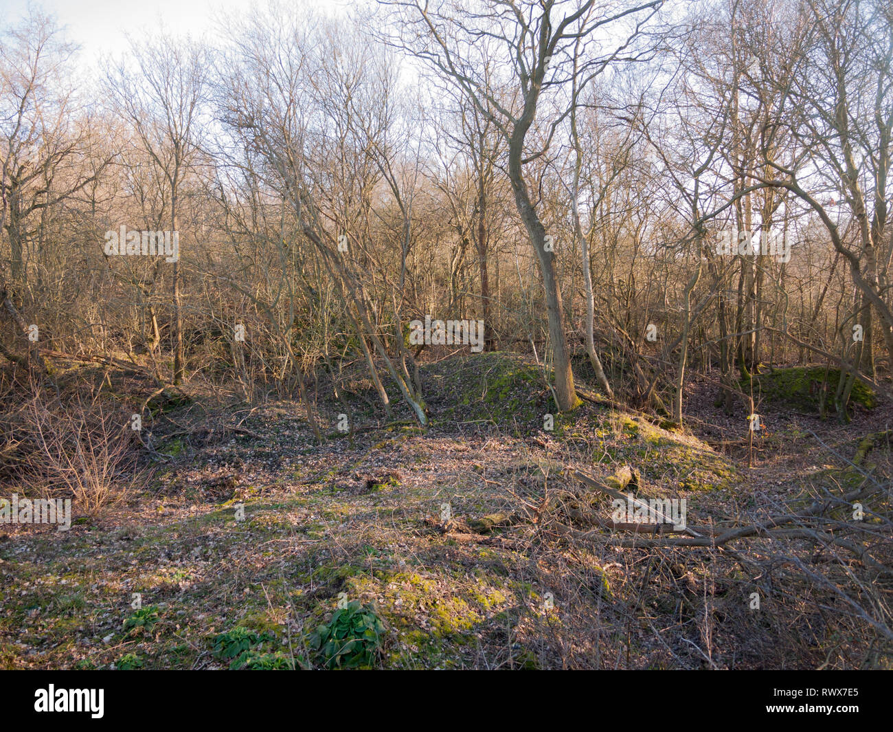 Fingringhoe wick nature reserve outside landscape background space open ...