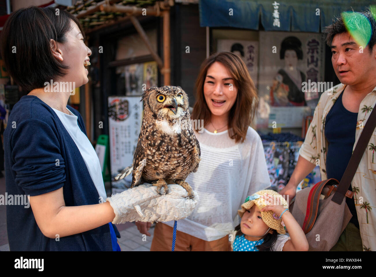 Owl cafe. Young Japanese woman advertising and promoting local bar ...