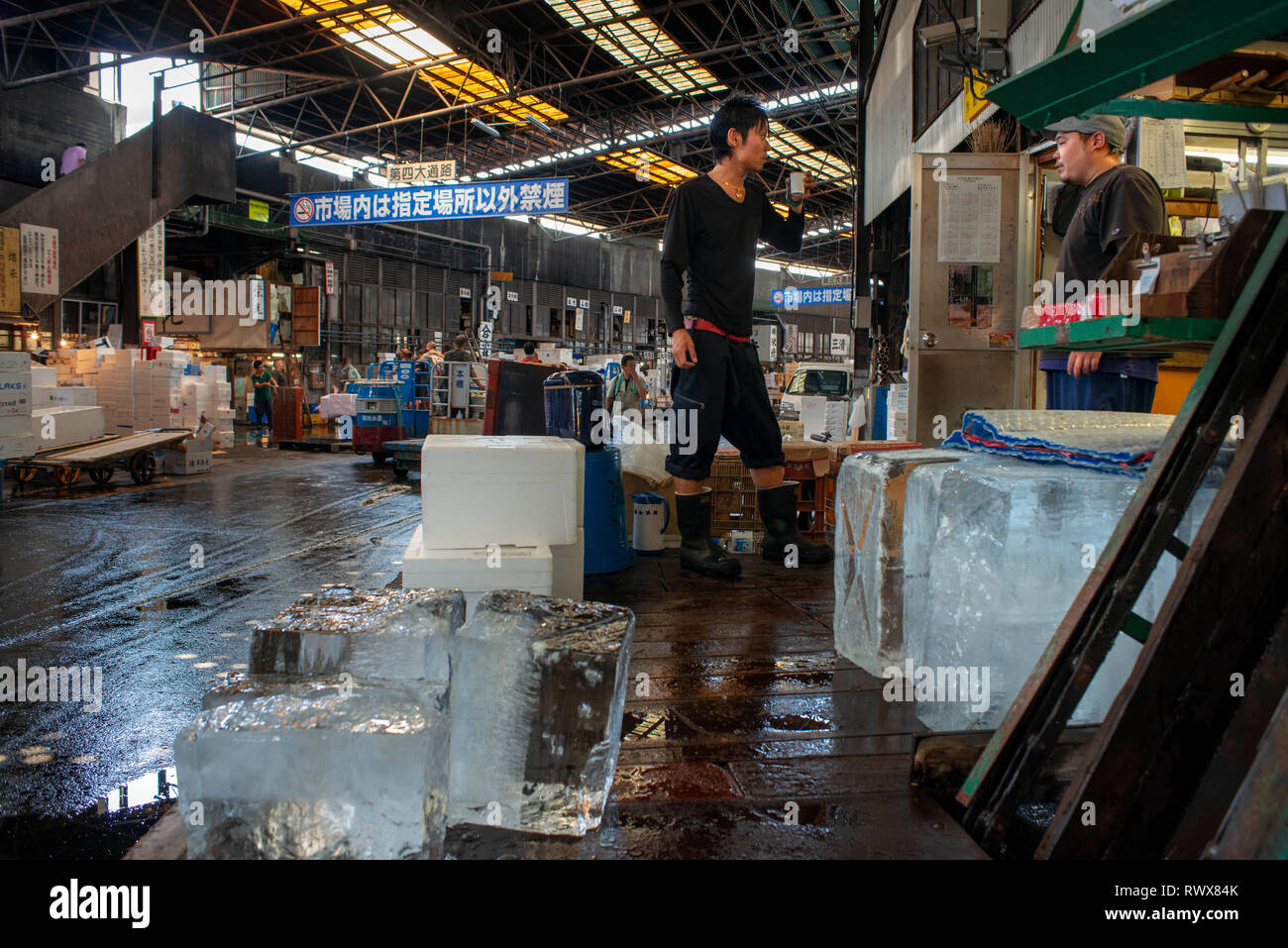 Tsukiji fish market, Tokyo, Japan, Asia, the largest wholesale seafood ...