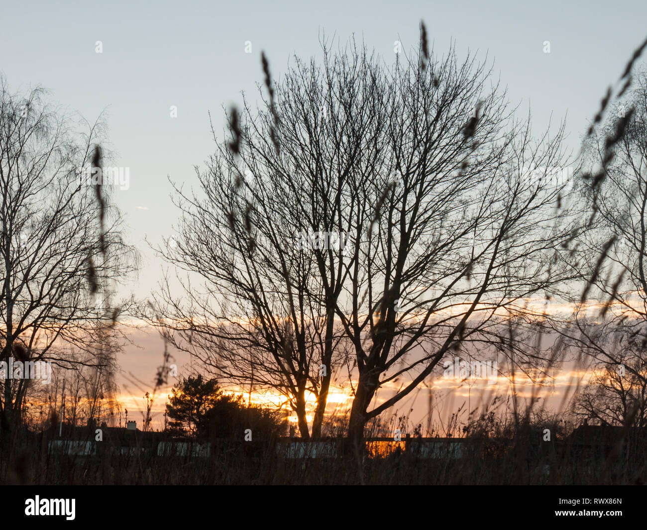Beautiful countryside Dedham water scene outside nature landscape space ...