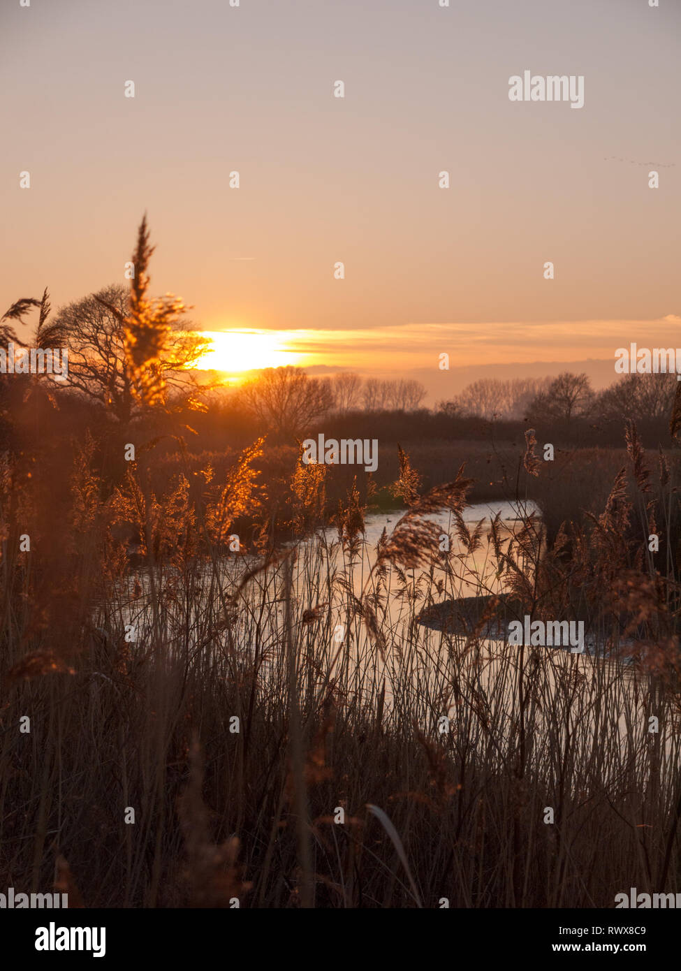 Beautiful countryside Dedham water scene outside nature landscape space ...