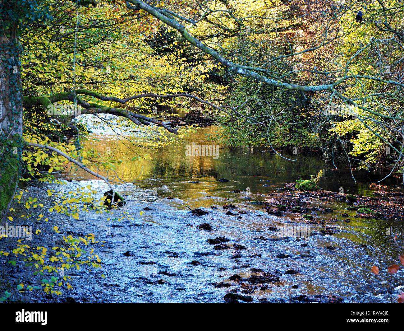 Gibside hi-res stock photography and images - Alamy
