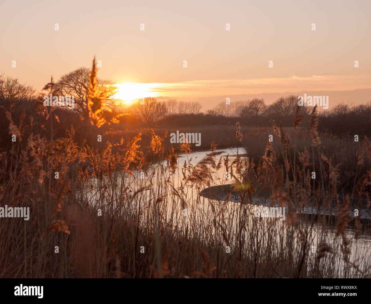 Beautiful countryside Dedham water scene outside nature landscape space ...
