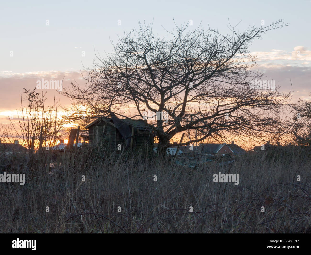 Beautiful countryside Dedham water scene outside nature landscape space ...