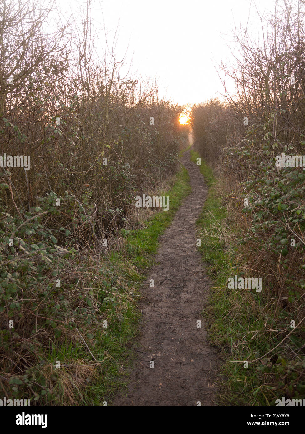 Beautiful countryside Dedham water scene outside nature landscape space ...