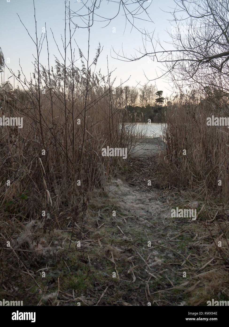 Beautiful countryside Dedham water scene outside nature landscape space ...